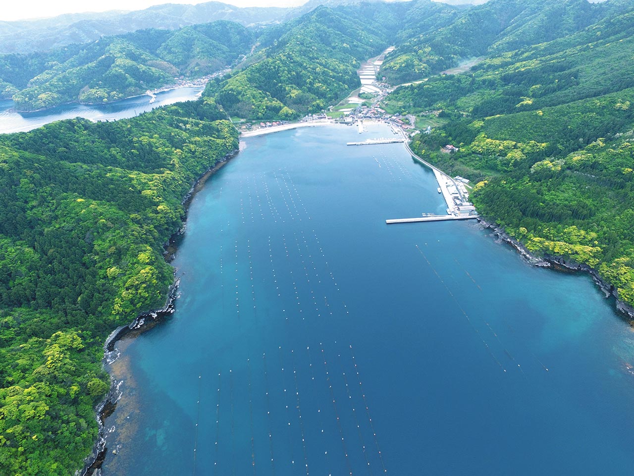 Oyster Wine Contest 2021 Special Sponsor “Iwagaki Haruka”. Aiming to be ...